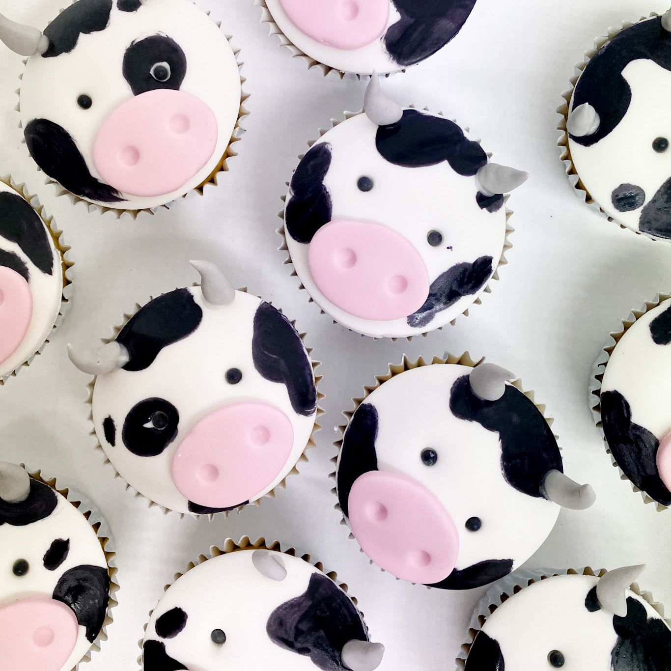 Cow Cupcakes – Studio Cakes