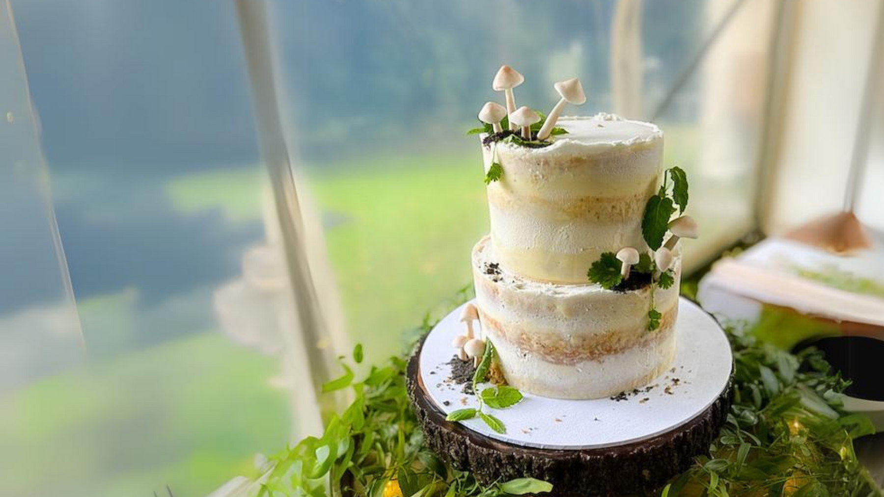 Studio Cakes Home