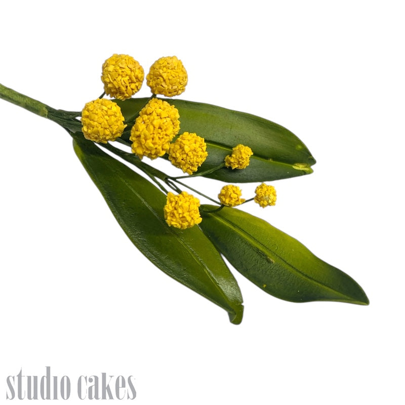 Sugar Flowers - Flowering Wattle Spray – Studio Cakes